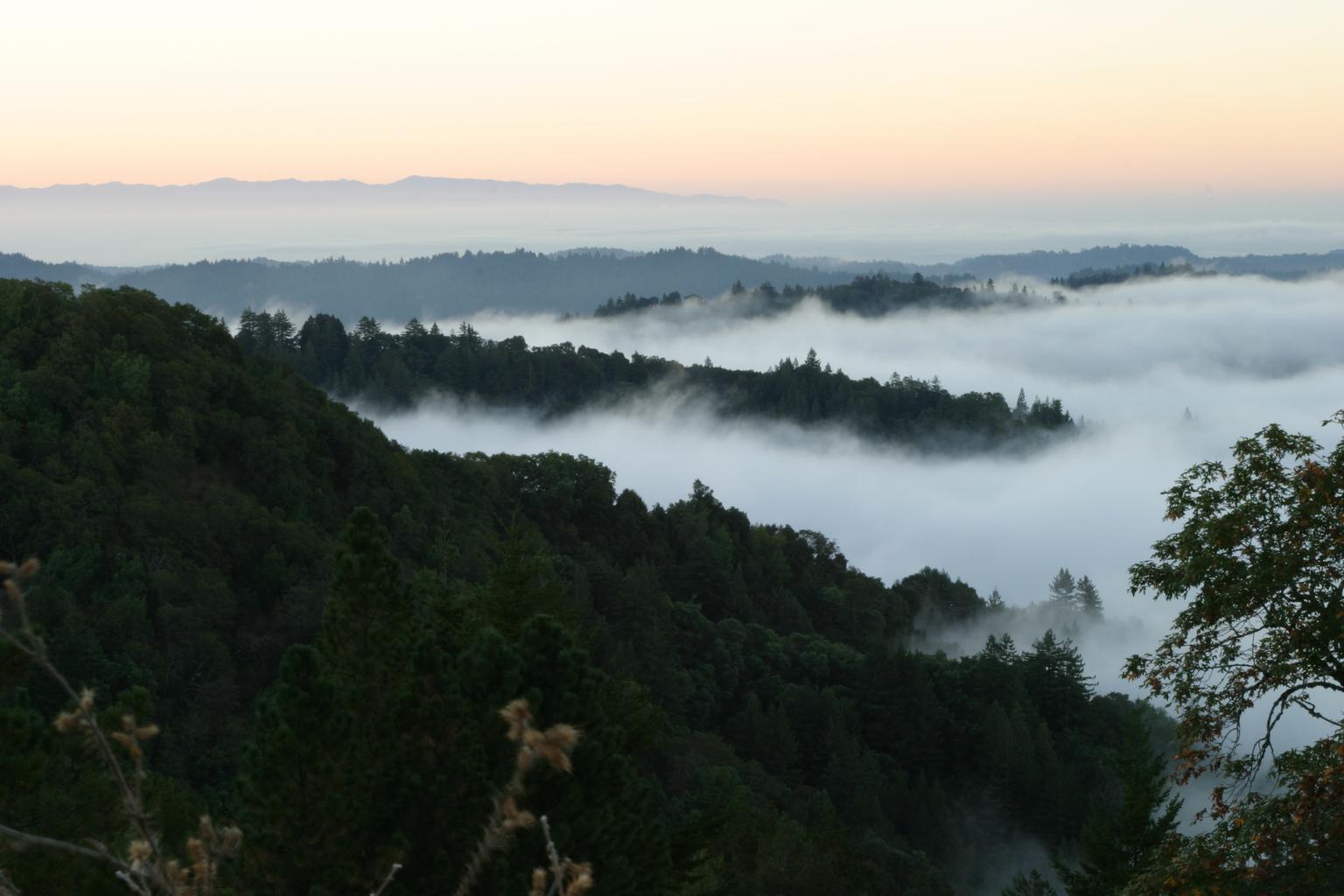 Image Directory - Nathan Laredo