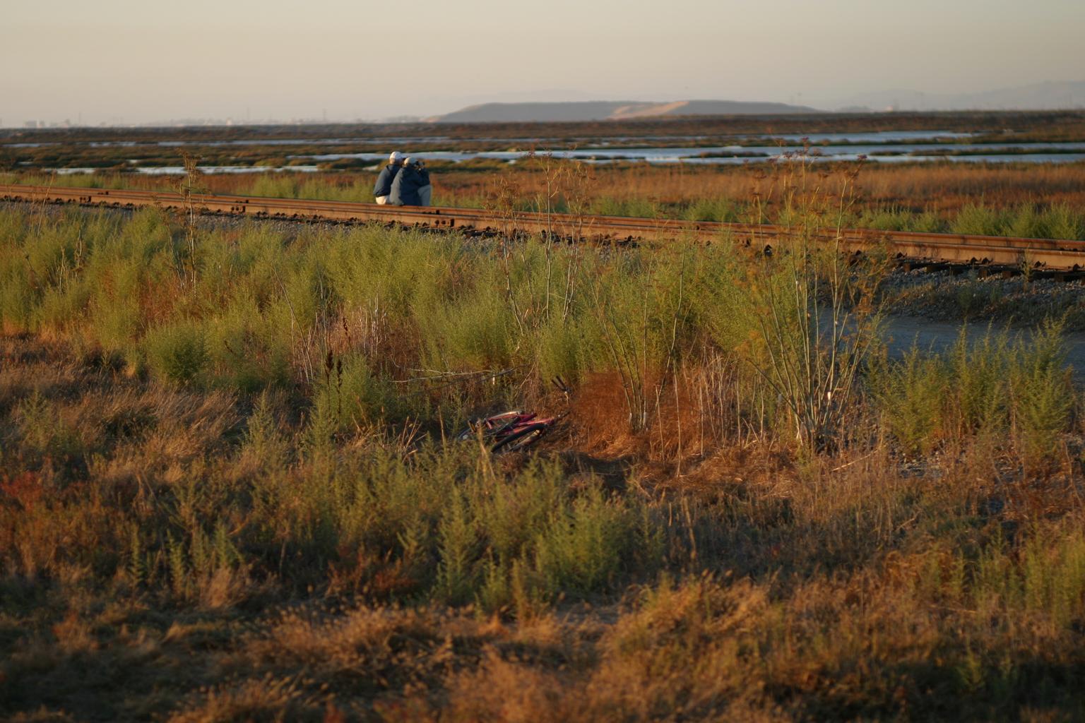 Image Directory - Nathan Laredo