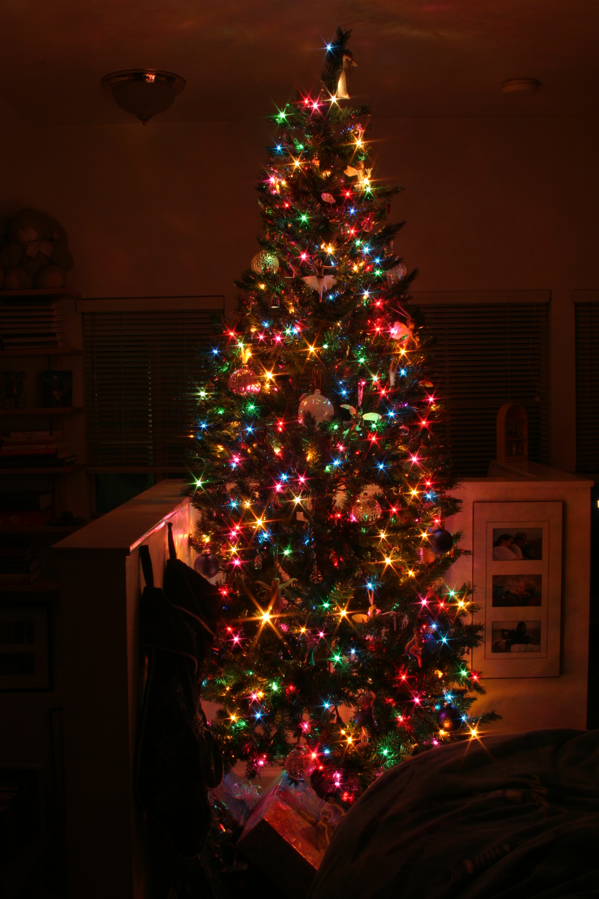 Image Directory - Nathan Laredo